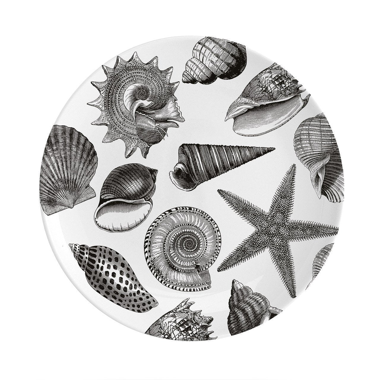 Seashore Fine China Plate | Chase and Wonder