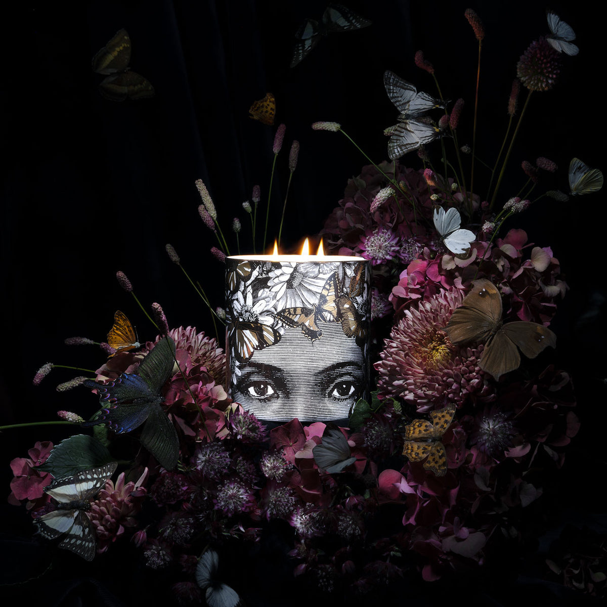 Buy 3 Wick Candles - Scented | Chase and Wonder