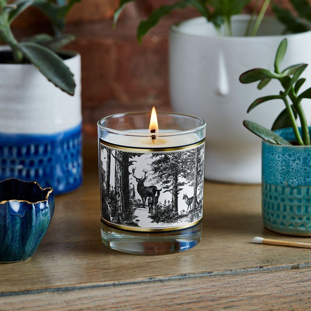 The Enchanted Forest Scented Candle | Chase and Wonder