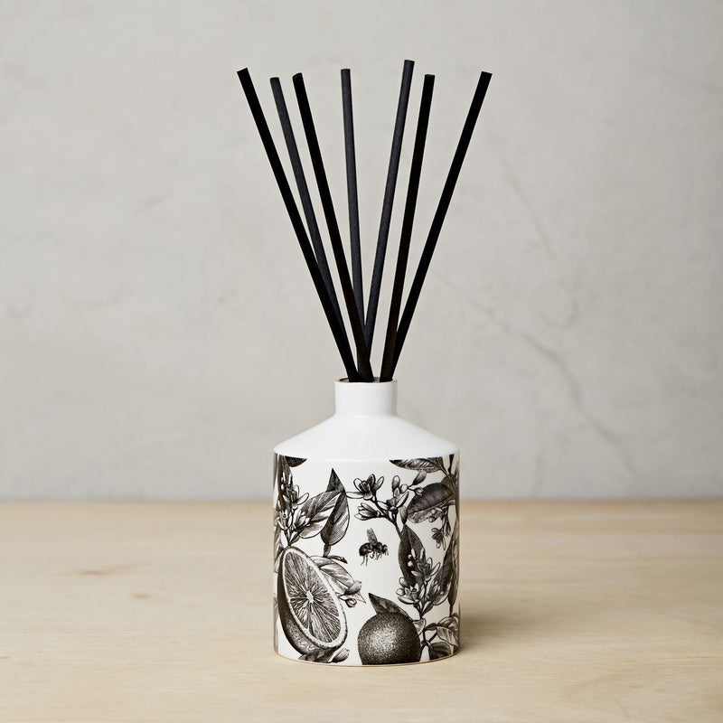 The Orangery Ceramic Reed Diffuser - Chase and Wonder