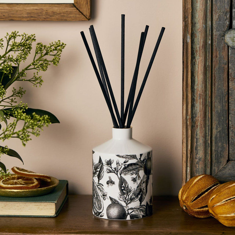 The Orangery Ceramic Reed Diffuser - Chase and Wonder